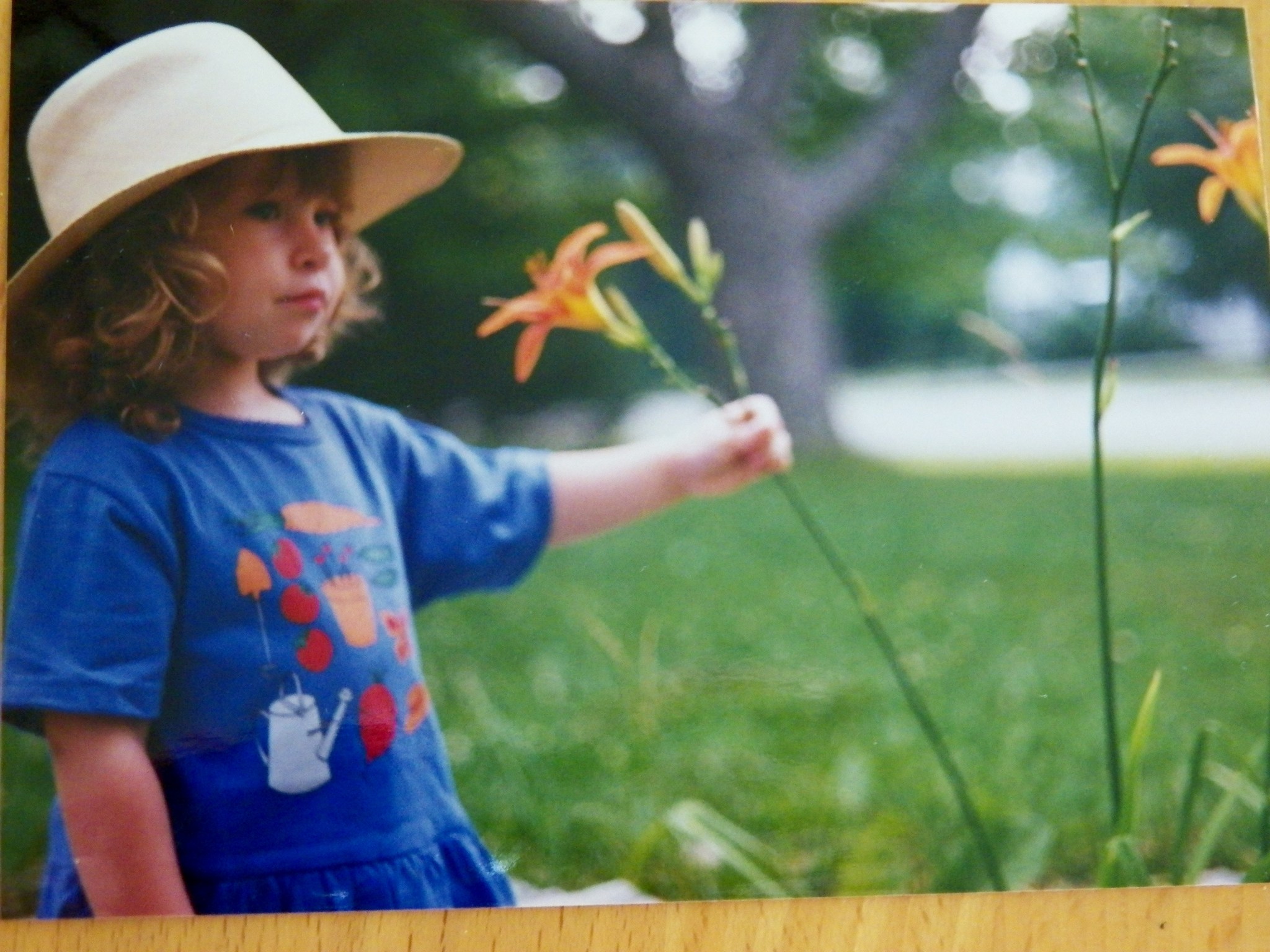 BarbaraBeardsley.com – Thoughts, Stories, Hopes, and Dreams.