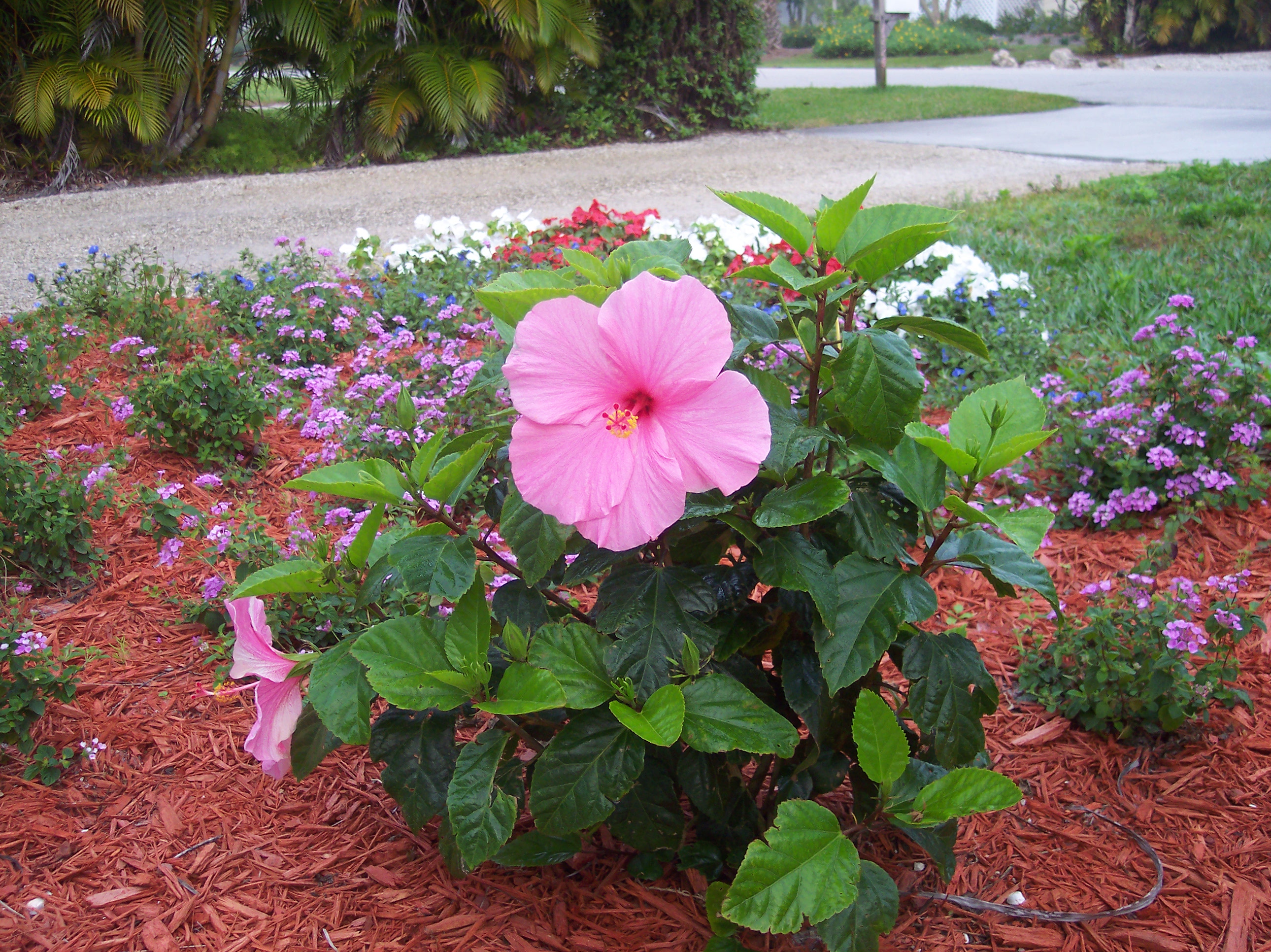 CODY and CLARK – BarbaraBeardsley.com